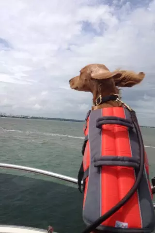 Greti Thursfield hoop om die volgende Sir Ben Ainslie te wees en spandeer haar dae om op die Solent te vaar