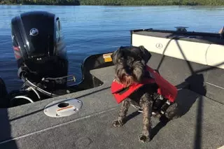 Millie Short is na die agterkant van die boot verban nadat sy die wiel gekaap en oliebolle in die middel van die meer gedoen het