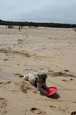 Stanley Blackwell hou nie regtig van strandspeletjies in Cornwall nie