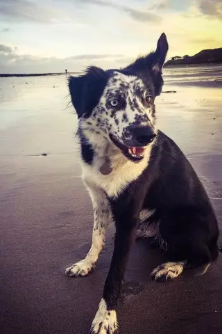 Sunny Stansby het pas sy eks op die strand in Northumberland gewaar