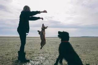 Frankie ma Django Ellingham o loʻo galulue mo a latou togafiti i Camber Sands. Aso malolo Pah