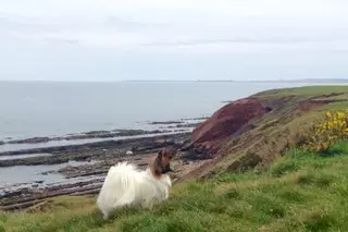 Пози Касъл смята, че тя участва в собствения си епизод на Poldark и никой не може да я убеди в противното