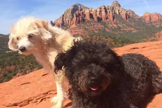 Minou û Suki Boissonnault nekarin heyecana xwe ji dîtinên li Sedona Arizona bişkînin.