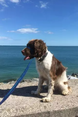 Benji Denning se Asbo beteken dat hy op hierdie strand in Devon verban is. Dien hom reg TBH