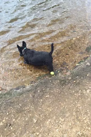 Moenie bekommerd wees nie Betsy Marner daar is baie meer visse in die see