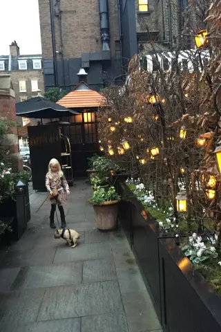 Roscoe Friedlander nifẹ lati lọ kuro ni awọn ohun iranti isinmi fun awọn aja miiran lati gbadun bii eyi ni Chiltern Firehouse