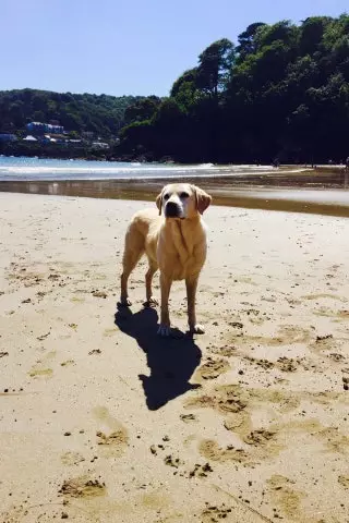 Suns out guns for Bella Goodwin in Salcombe