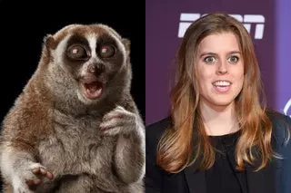 Loris wapang'onopang'ono ndi Princess Beatrice