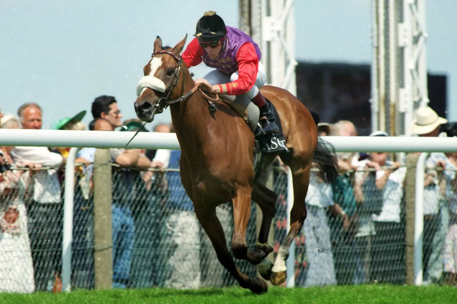 Phantom Gold di Royal Ascot pada tahun 1995