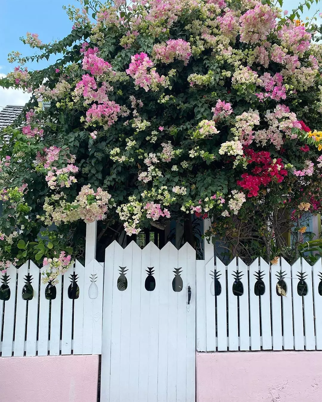 Slēgts paradīzes Indijā Hikss ir izolēts Bahamu salās