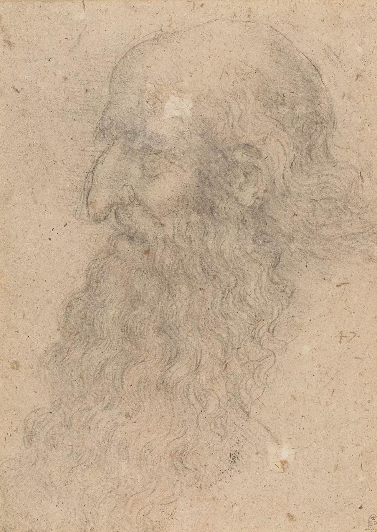 Hoe te fieren Leonardo da Vinci syn 500 jier mylpeal