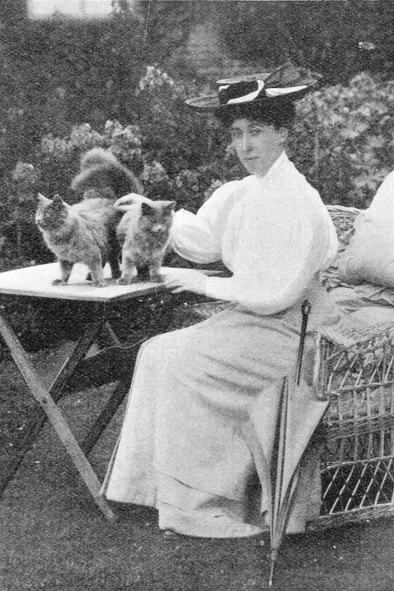 HRH Princess Victoria weSchleswigHolstein aine maviri eBlue Persian Kittens muna 1905.