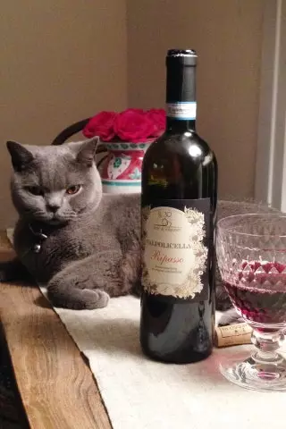 Diese kleine Pussy nippt nur an Rotwein