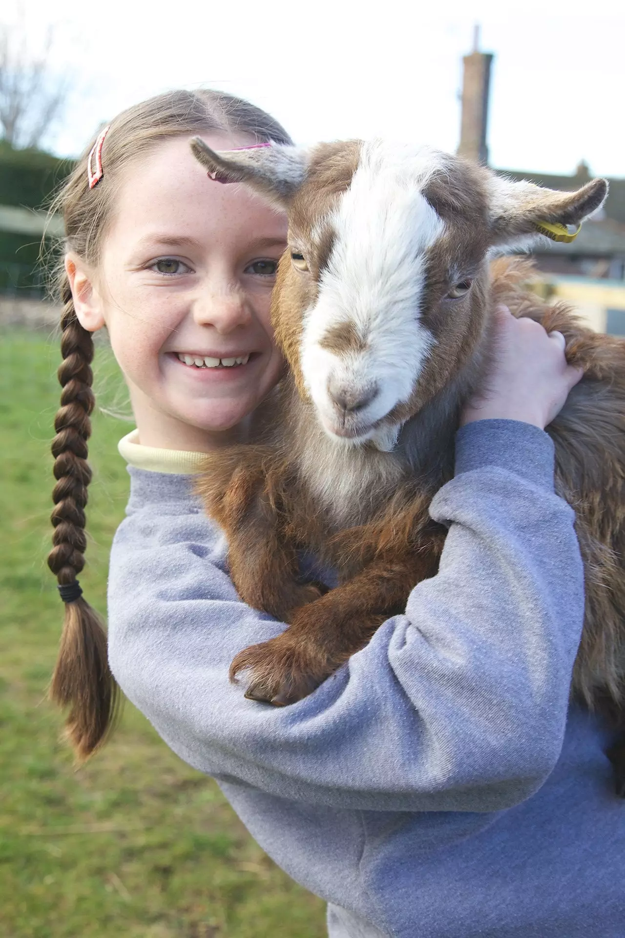 Scuola per animali domestici di lusso nel Regno Unito