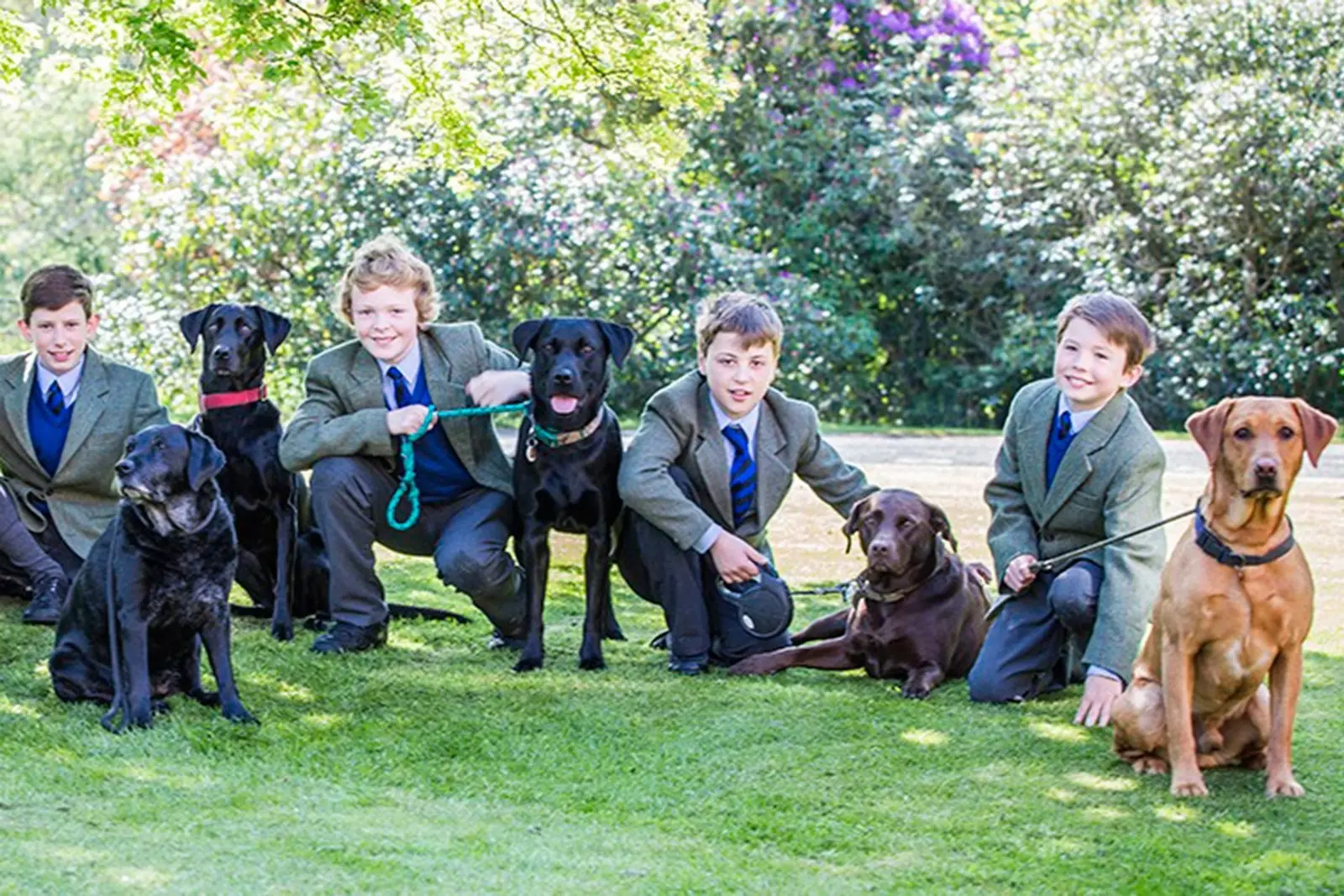 Scuola per animali domestici di lusso nel Regno Unito