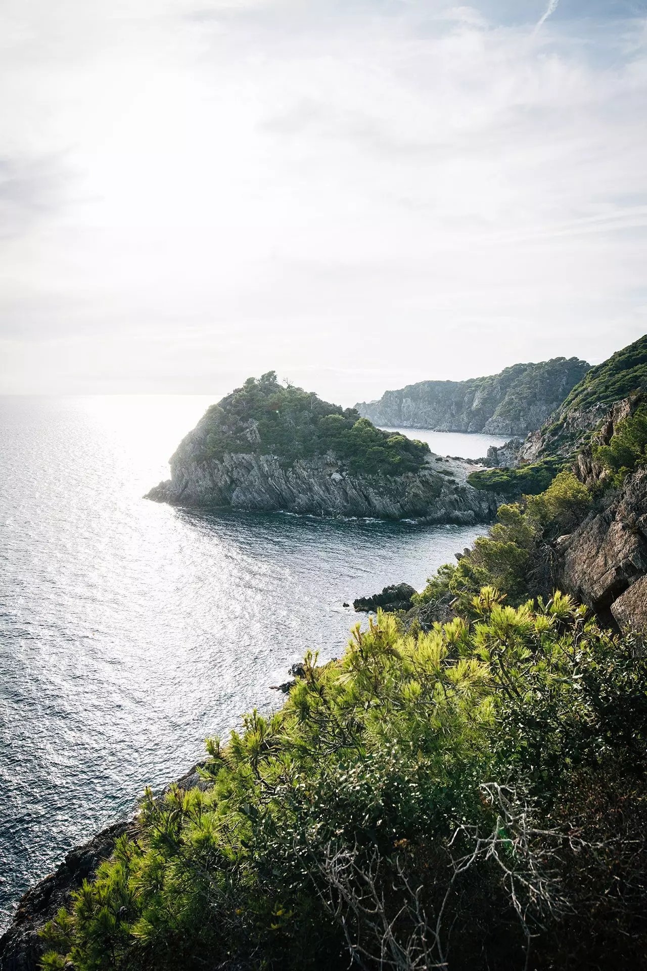 Vinho Chanel lança Domaine de L'Ile Rose 2019