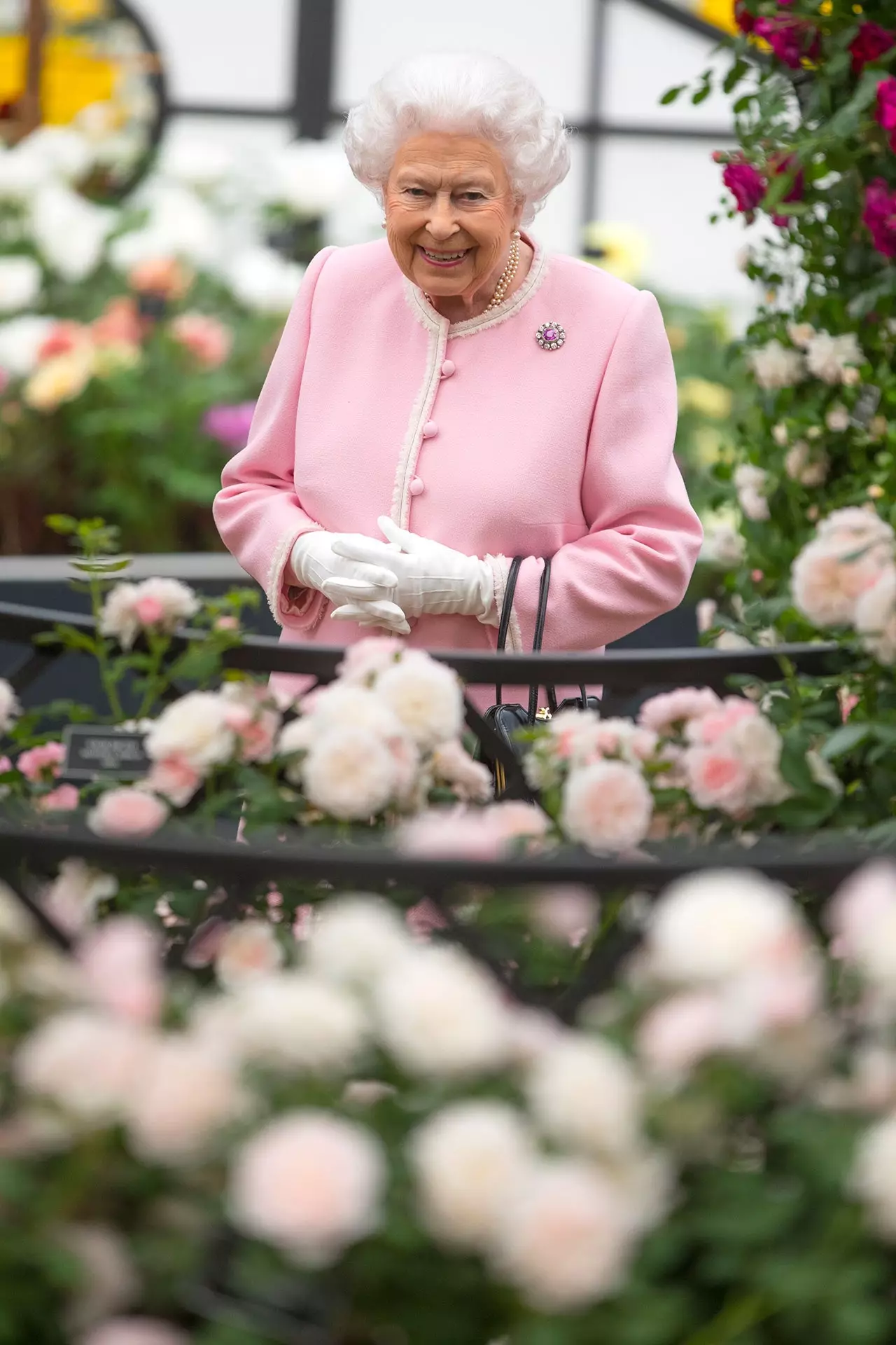 A rainha apreciando uma exibição de rosas na exibição de rosas de Peter Beale no Chelsea Flower Show 2018