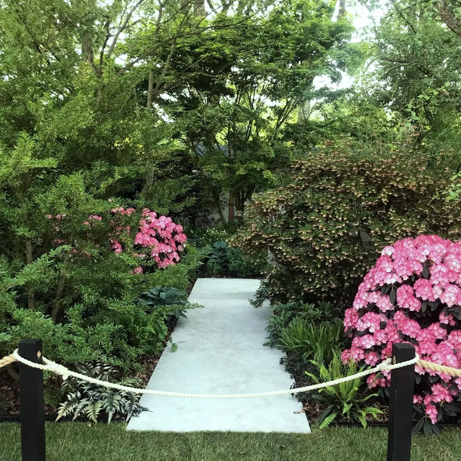 Chelsea Flower Show 2018