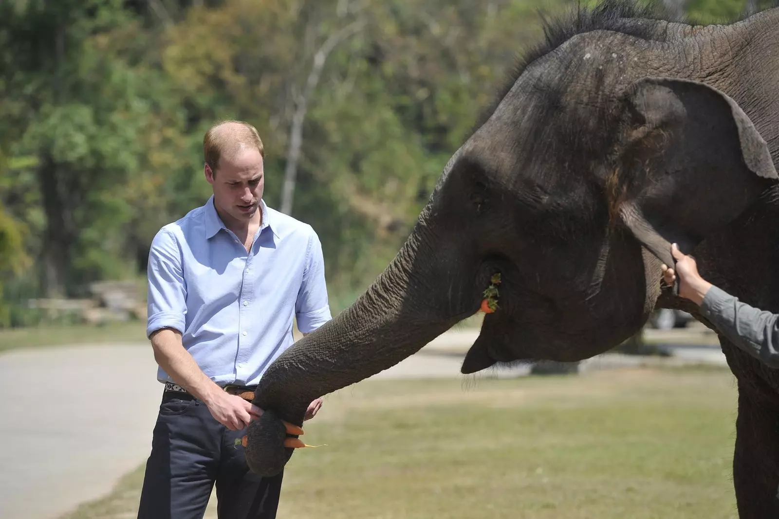 Putera Harry dalam foto safari Keluarga Diraja Afrika