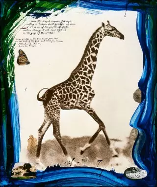 Xirafa de Kenia no deserto de Taru de Peter Beard