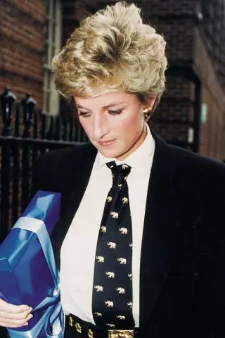 Diana princezna z Walesu 1994