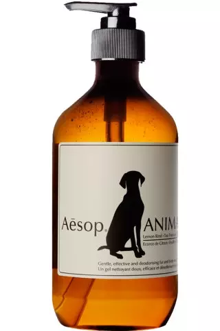 golchi anifeiliaid Aesop