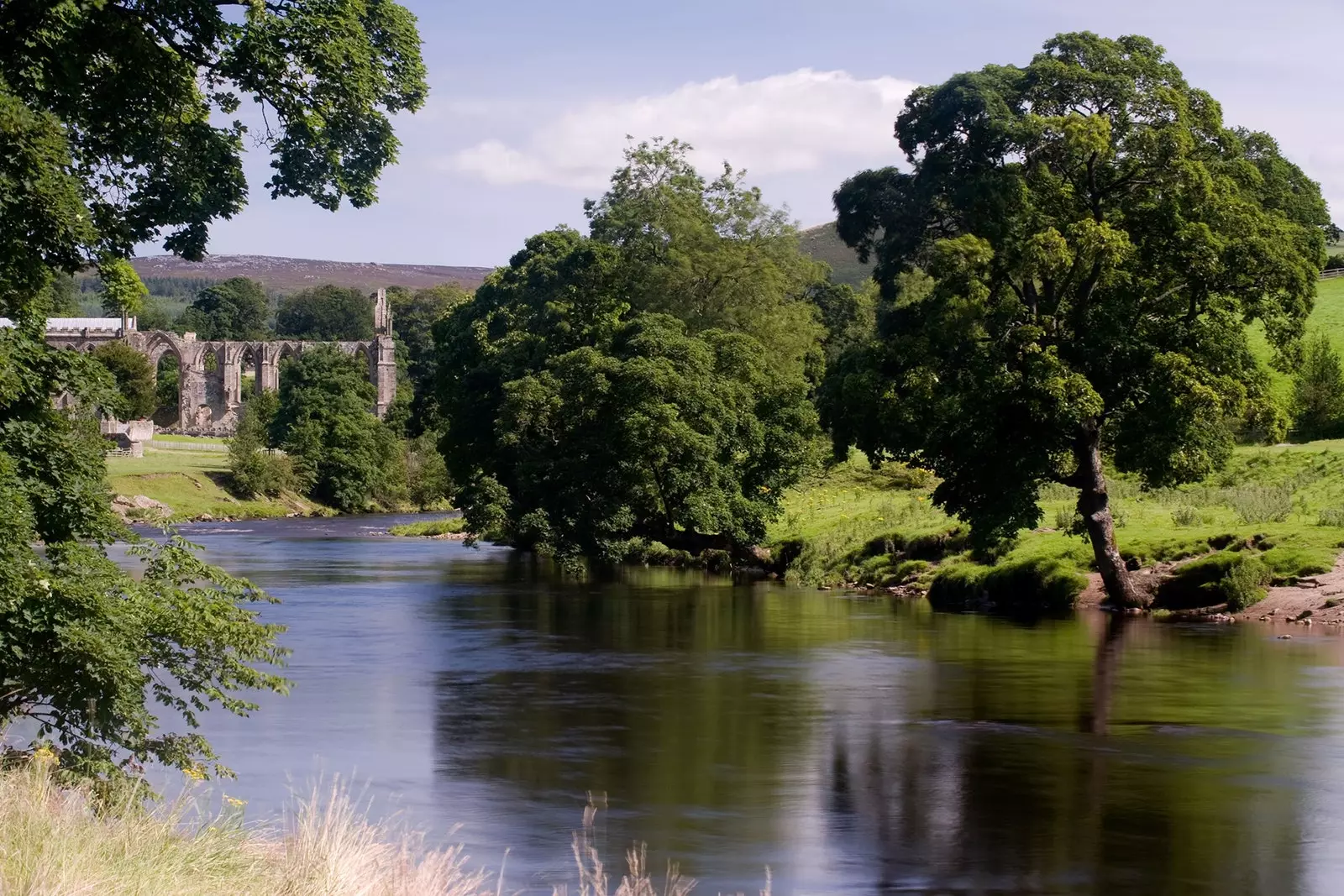 Swimming Wild li cîhên çêtirîn UK-ê û ku derê biçin