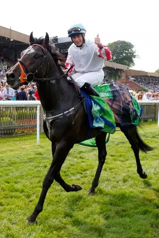 Wayne Lordan akan Slade Power