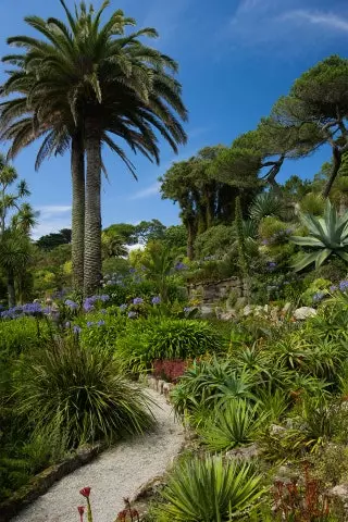 TRESCO ABBEY GARDEN Scilly uhartediko uharteetan Tresco Abbey Garden distira subtropikalaren adierazgarri da...